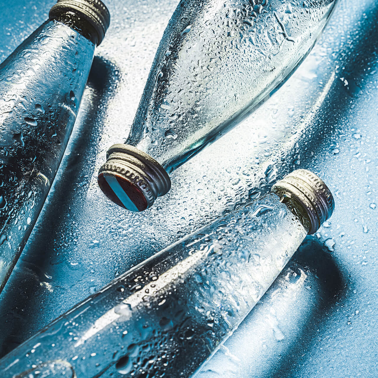 Venus Wine & Spirit Merchants | Behind Every Great Bar.